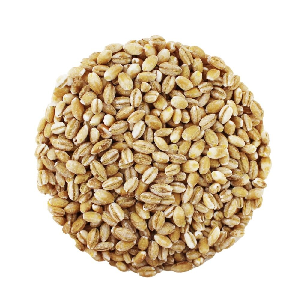 Barley Cattle Feed | Bulk Barley Feed Supplier