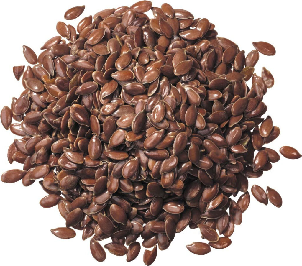 Linseed (Flaxseed) – Premium Quality for Food & Animal Feed