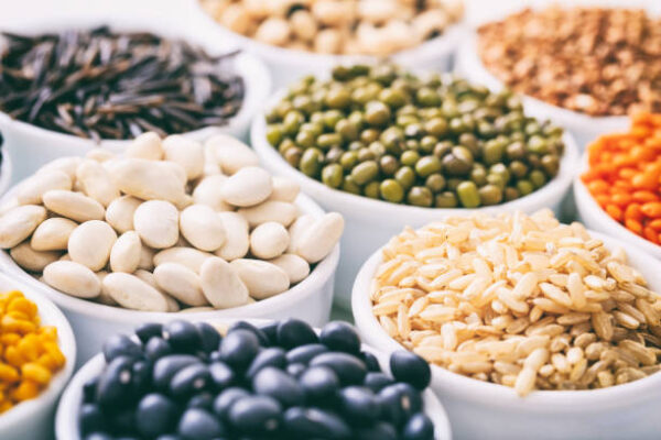 Plant Seed Types | Guide to Seed Varieties in Farming