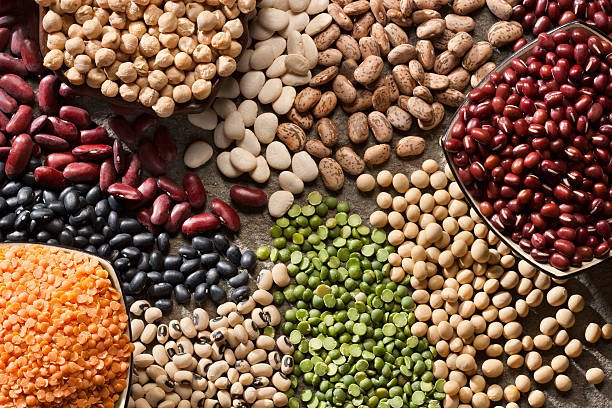 Forage and Feed Seeds | Bulk Livestock Feed Seeds