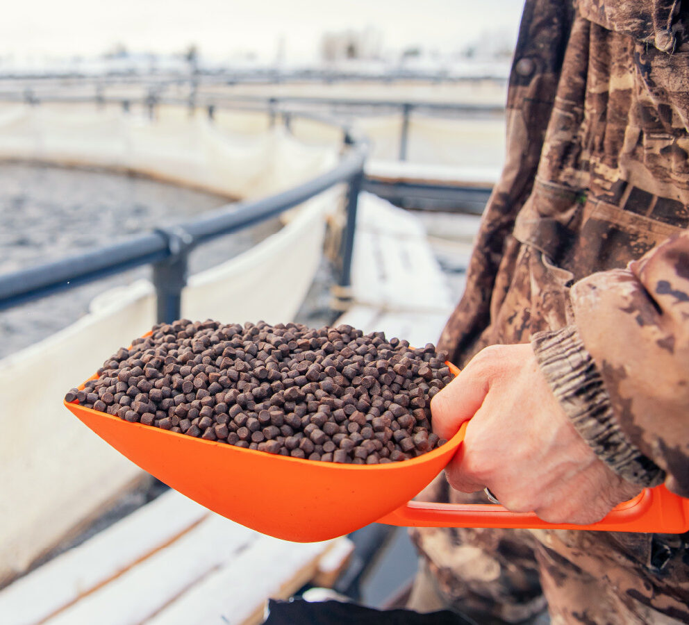 Plant-Based Aquafeed (Soy & Algae-Based) | Fish Feed