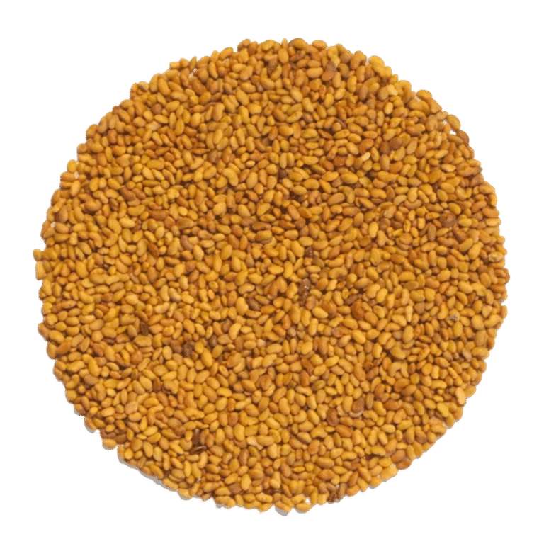 Lucerne Seed for Animal Feed | Bulk Alfalfa Seed